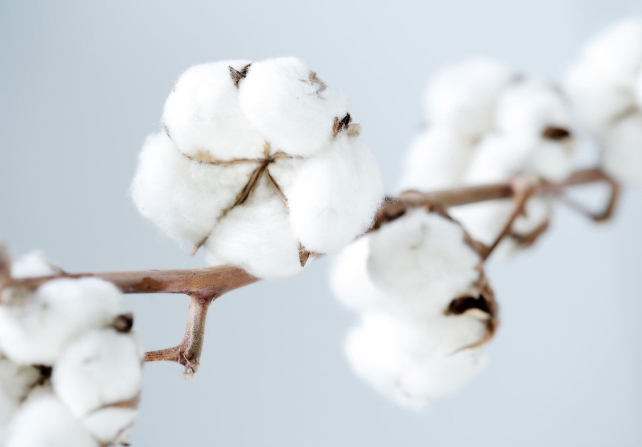 Quality of our Organic Mattresses and Other Products | Obasan